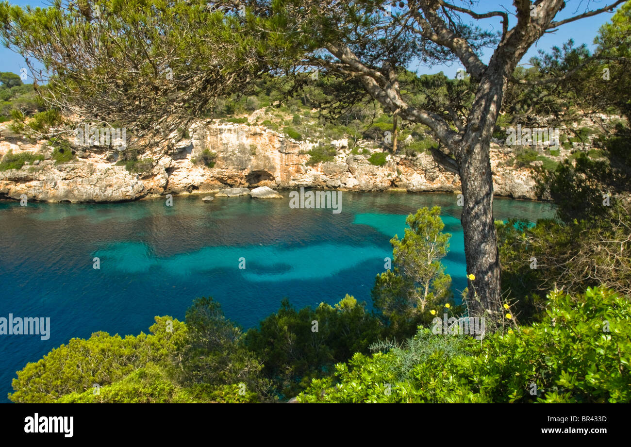Bay of Cala Pi, Majorca Stock Photo - Alamy