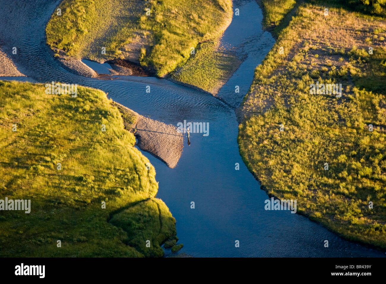 A fly fisherman plays a fish in the braided Lamar River in the Lamar ...