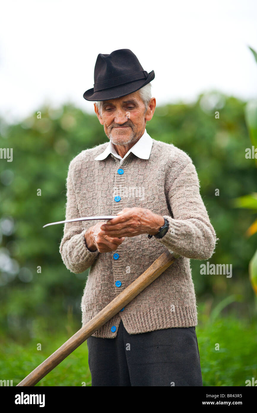 Senior farmer using scythe to mow the lawn traditionally Stock Photo ...