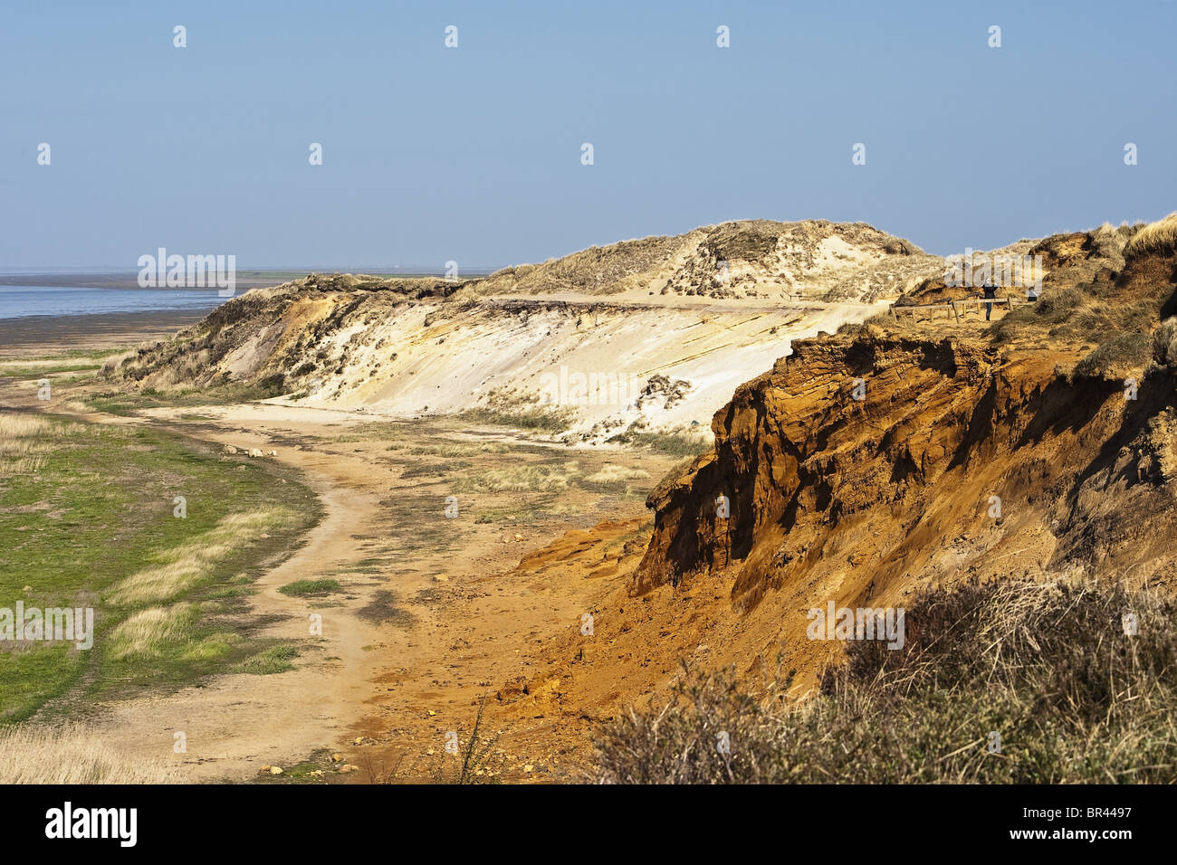 Morsum nature reserve hi-res stock photography and images - Alamy