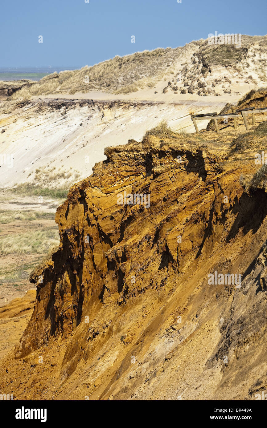 The Morsum Cliff on Sylt, Germany Stock Photo - Alamy