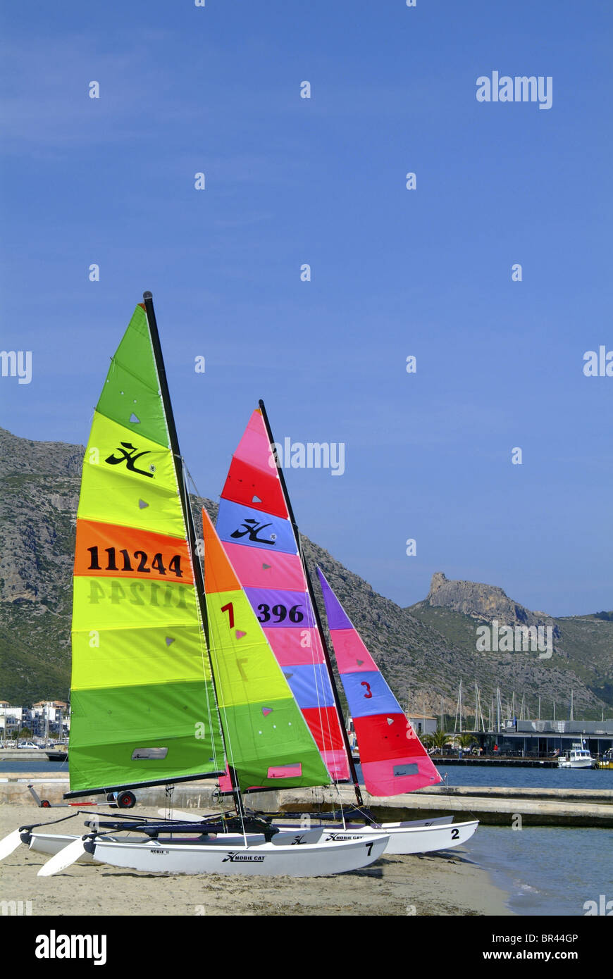 Catamarans at beach, Pollenca, Mallorca, Spain, Europe Stock Photo - Alamy