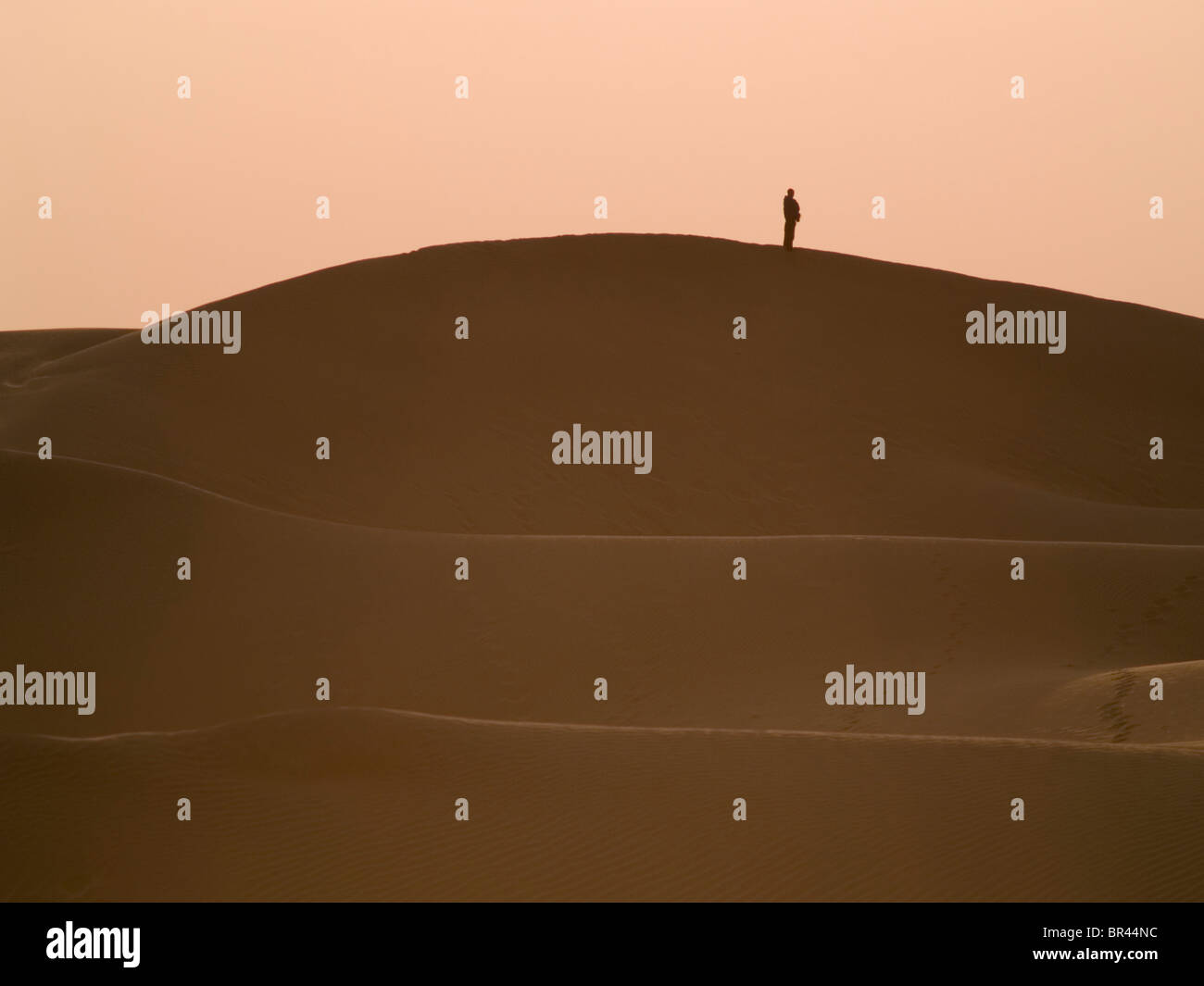 Sand dunes at sunset Stock Photo - Alamy