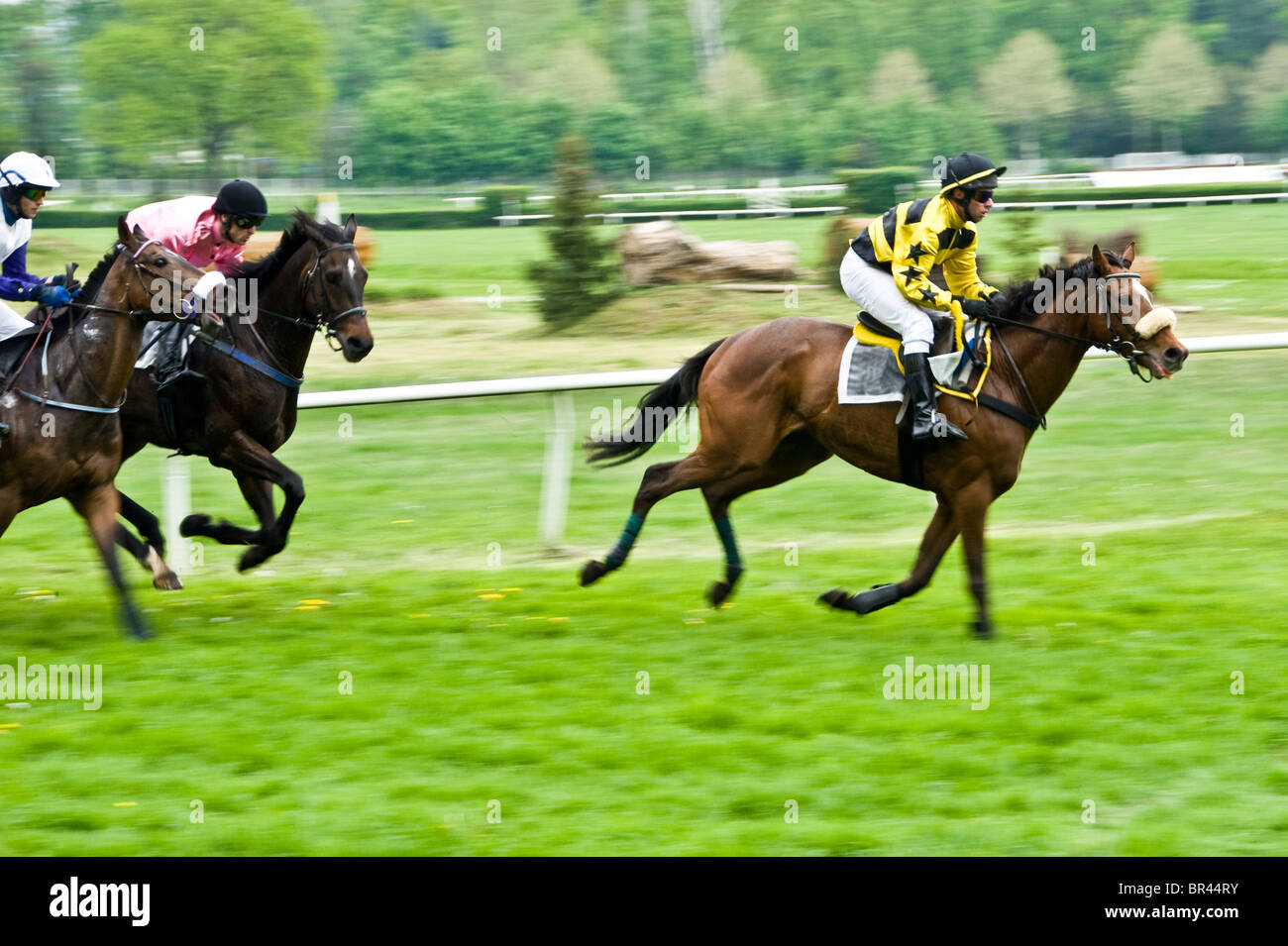 final sprint during a horse race Stock Photo - Alamy