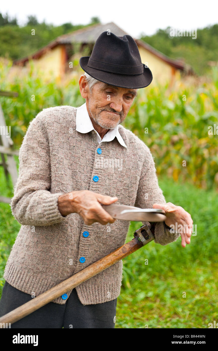 Scythe grass history hi-res stock photography and images - Alamy