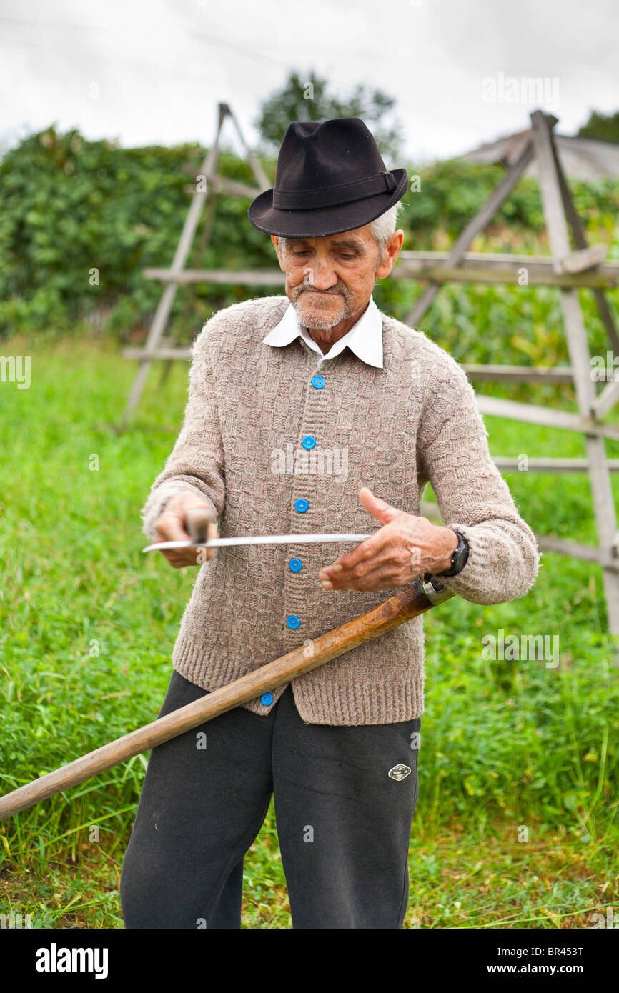 Senior farmer using scythe to mow the lawn traditionally Stock Photo ...