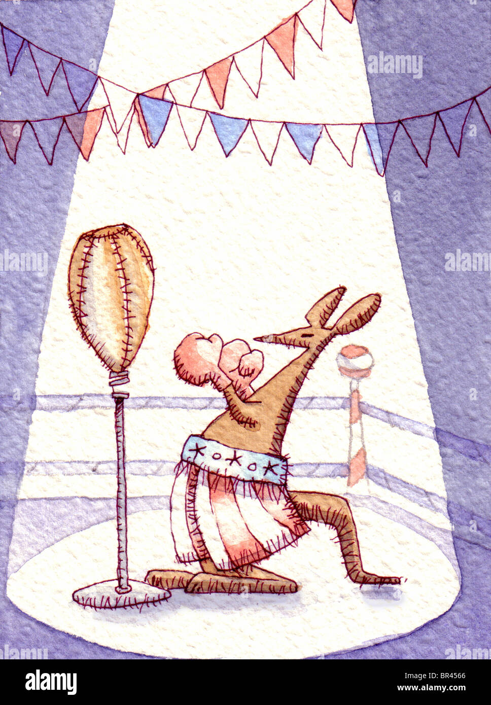 Circus kangaroo boxing hi-res stock photography and images - Alamy