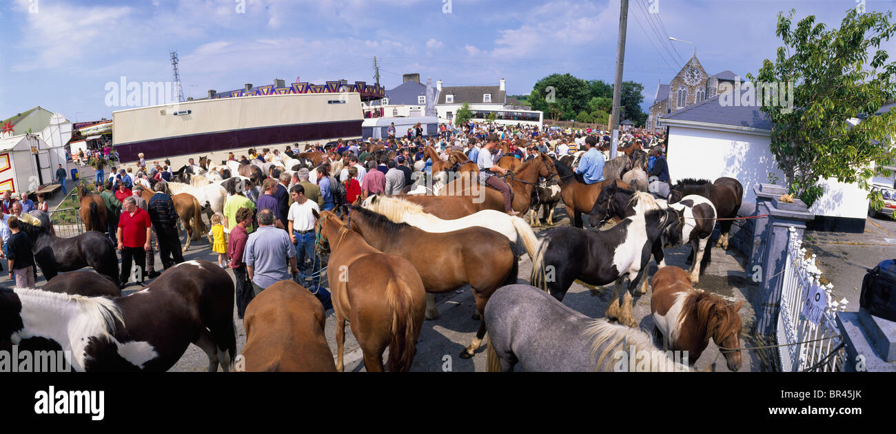Puck fair kerry hi-res stock photography and images - Alamy