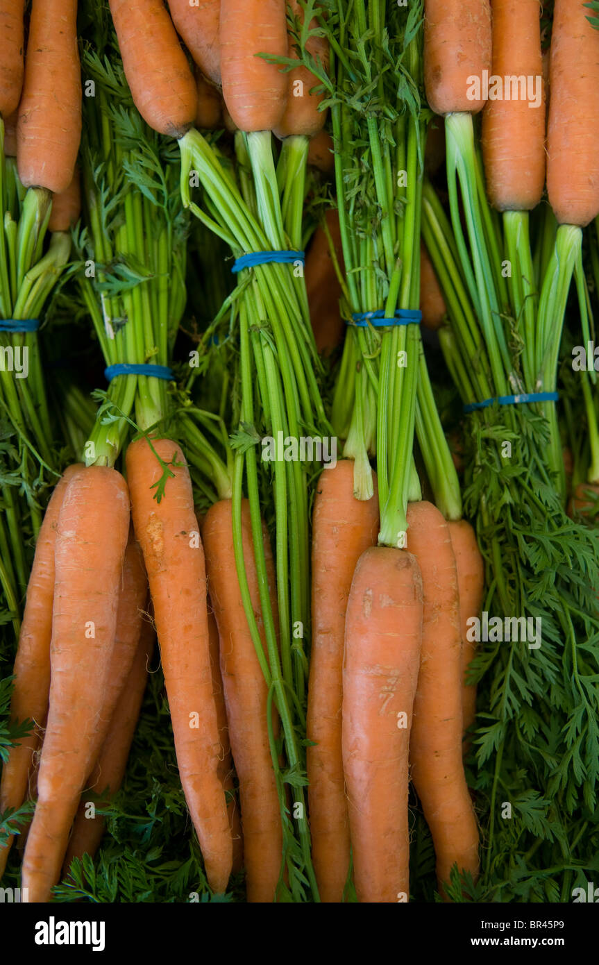 Bunches of fresh carrots Stock Photo - Alamy
