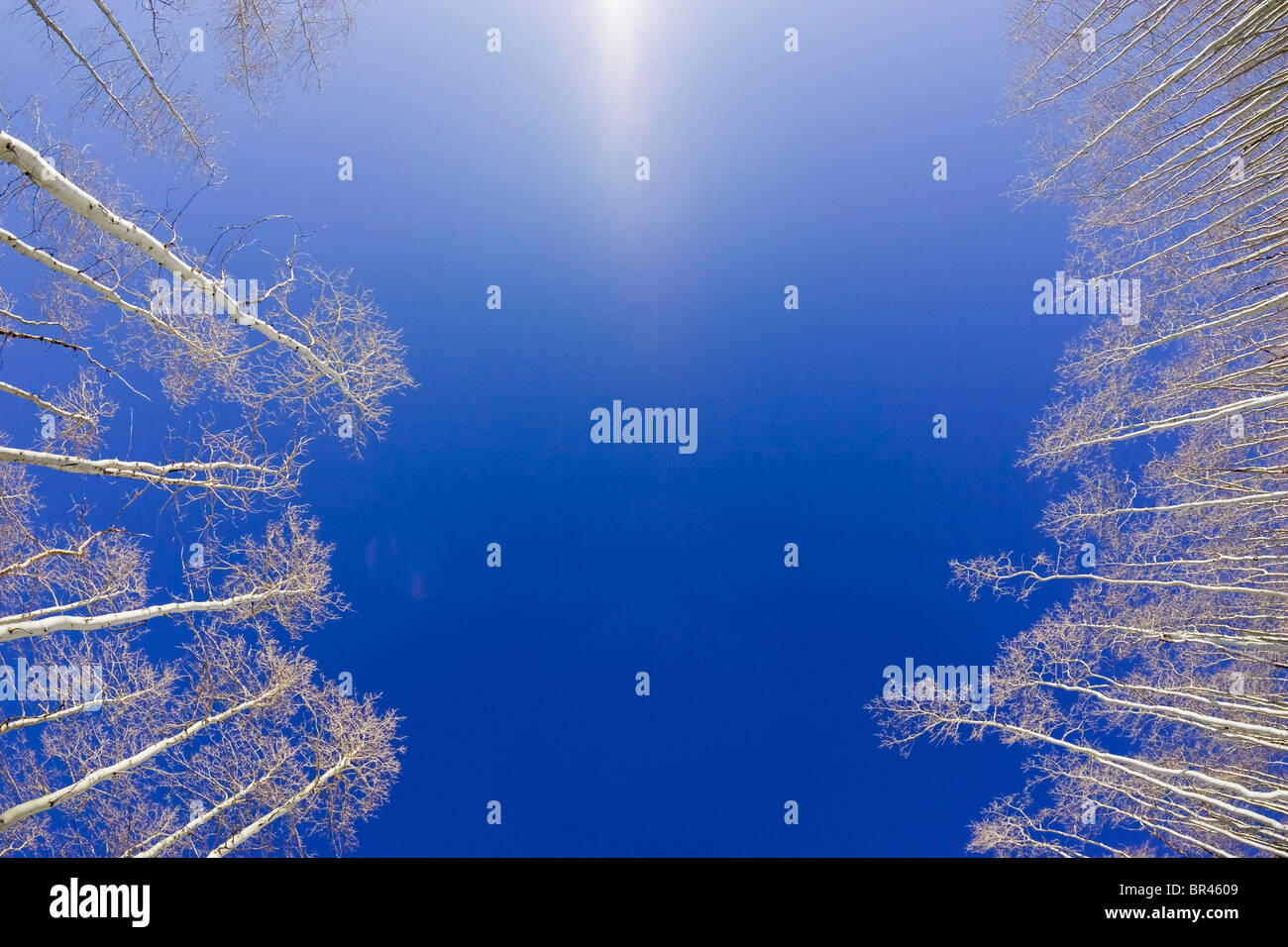 Shimmer park hi-res stock photography and images - Alamy