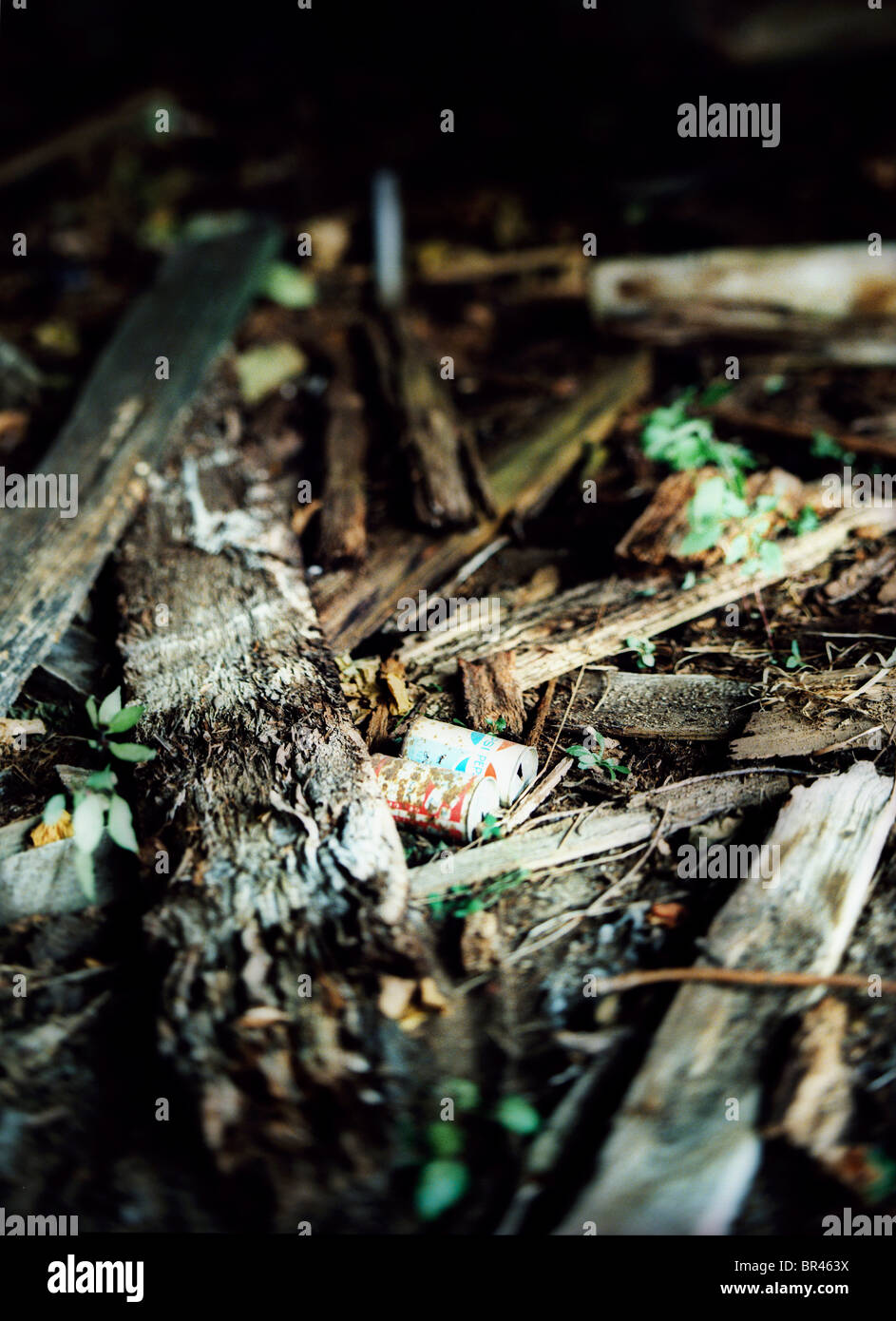 A collection of decades old trash in the basement of a falling in New ...