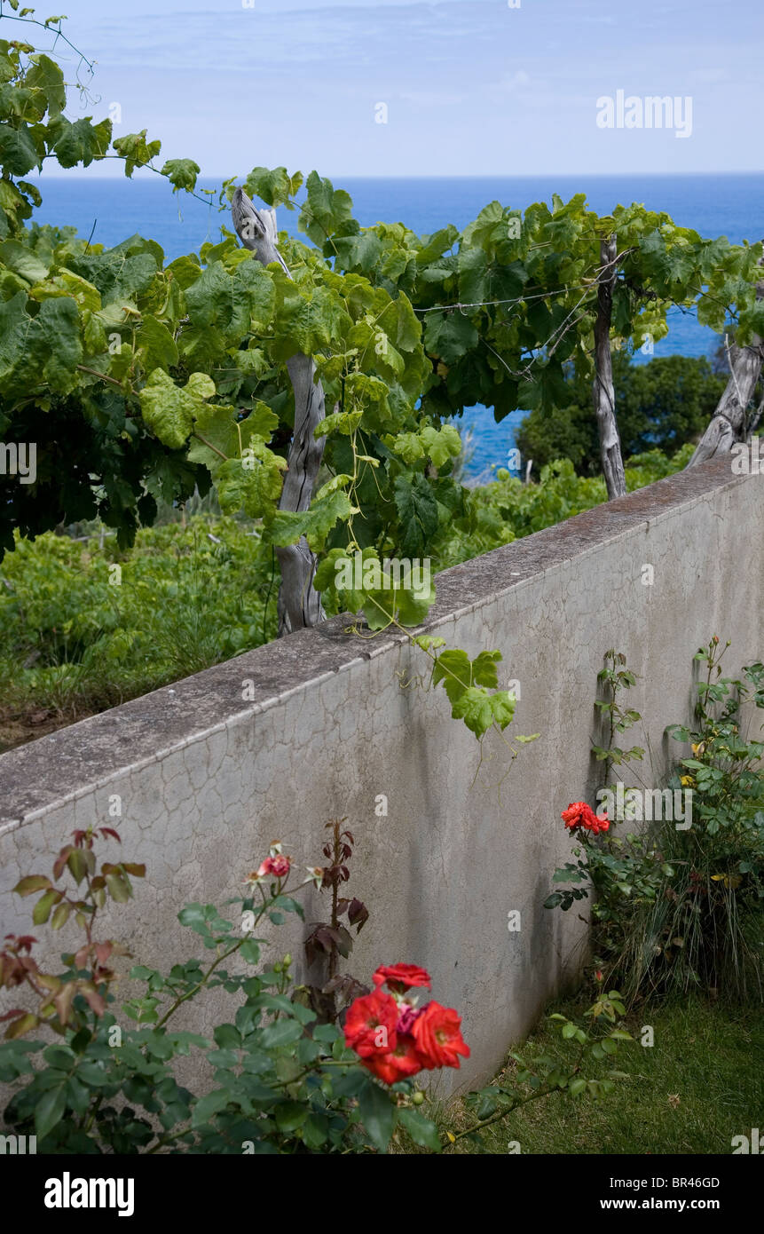 Seixal - Madeira Stock Photo - Alamy
