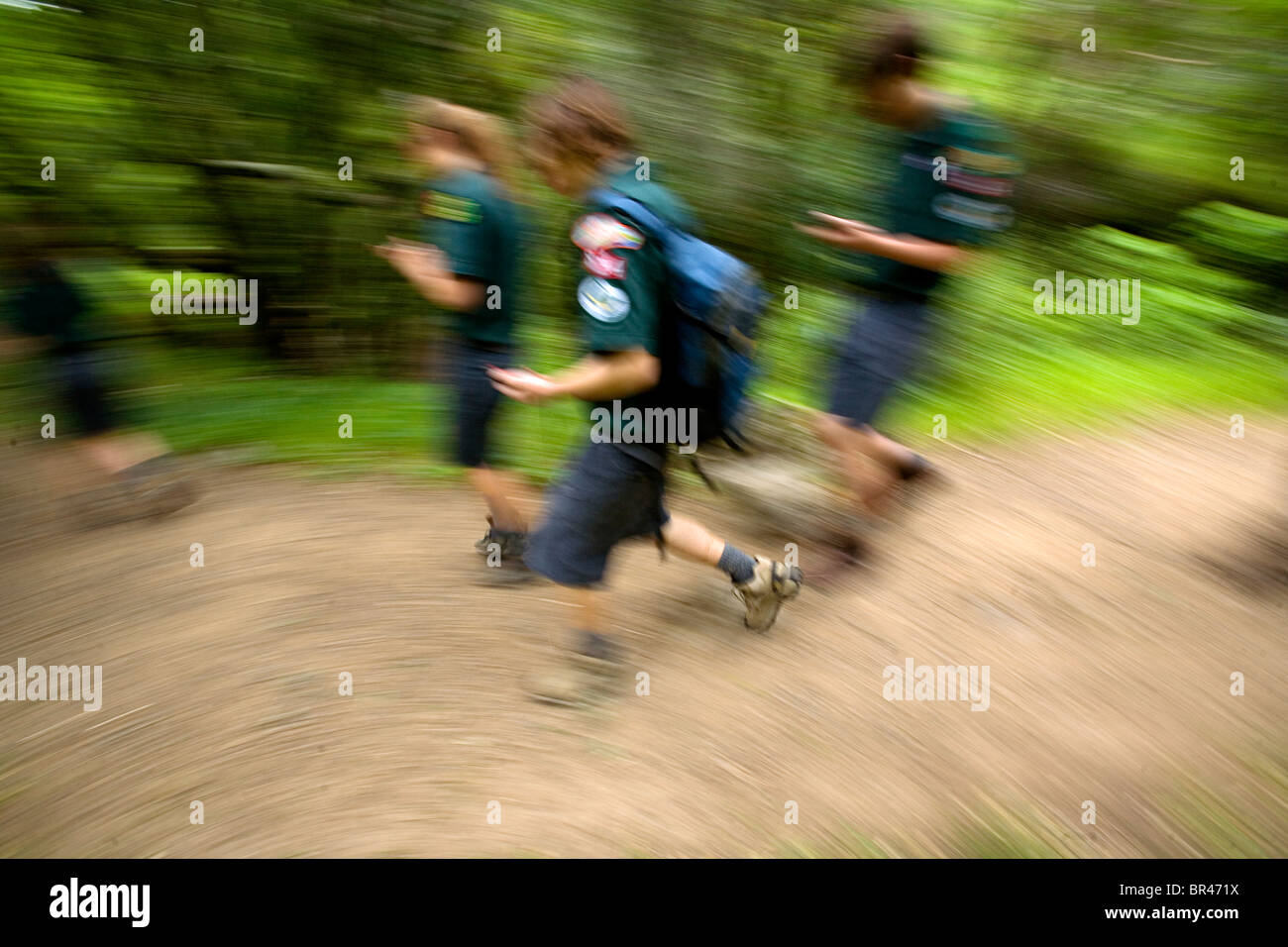 Scouts Geocaching in the woods Stock Photo - Alamy