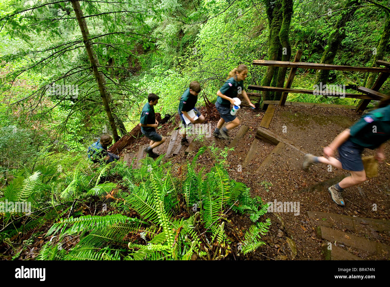 Geocaching image hi-res stock photography and images - Alamy