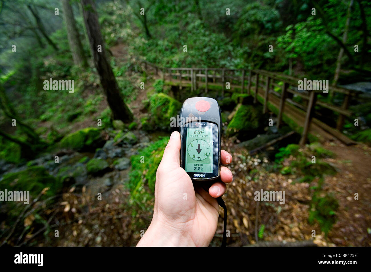 Hand holding a GPS unit in the woods Stock Photo - Alamy