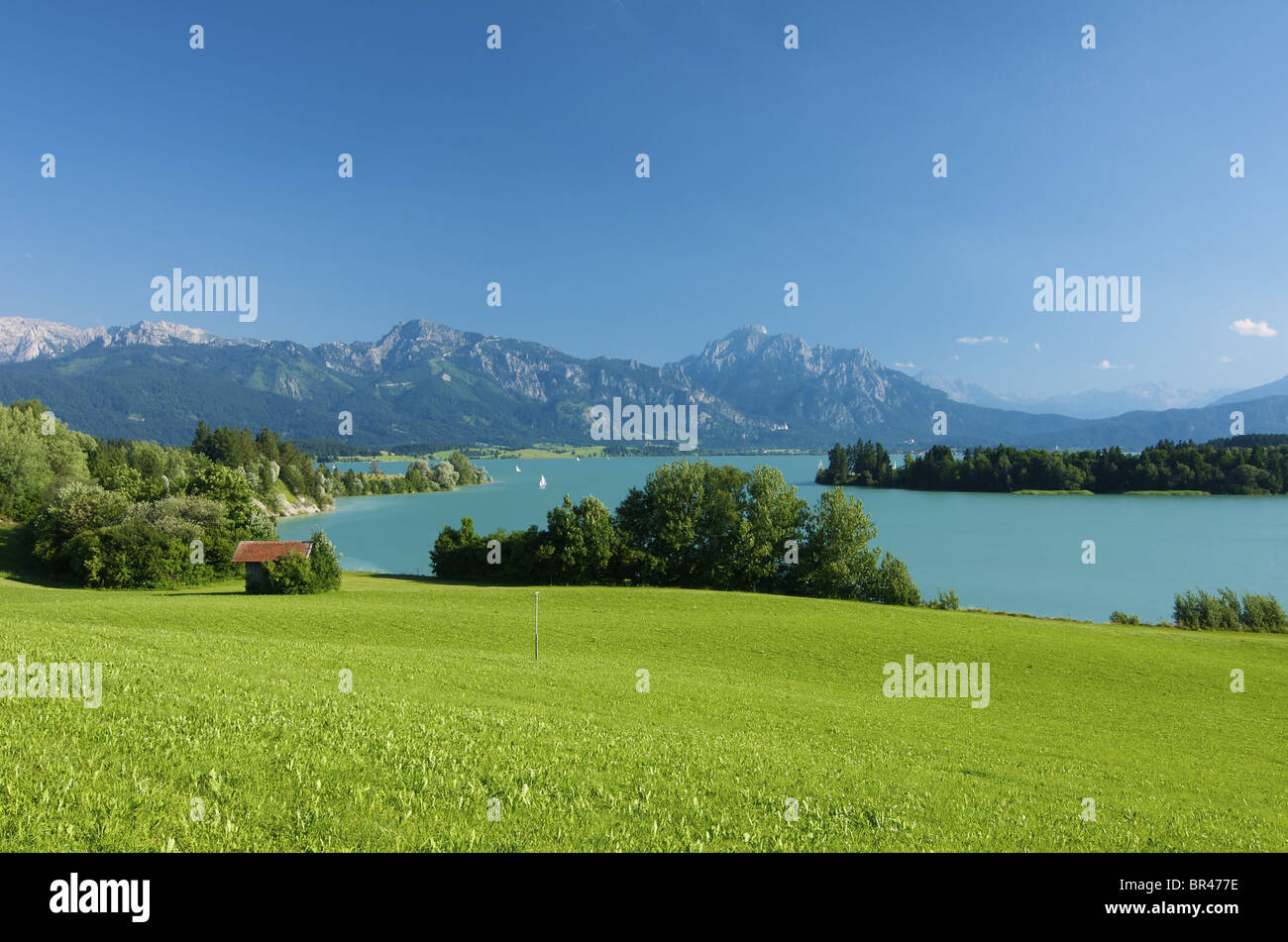 Forggensee in bavaria on hi-res stock photography and images - Alamy