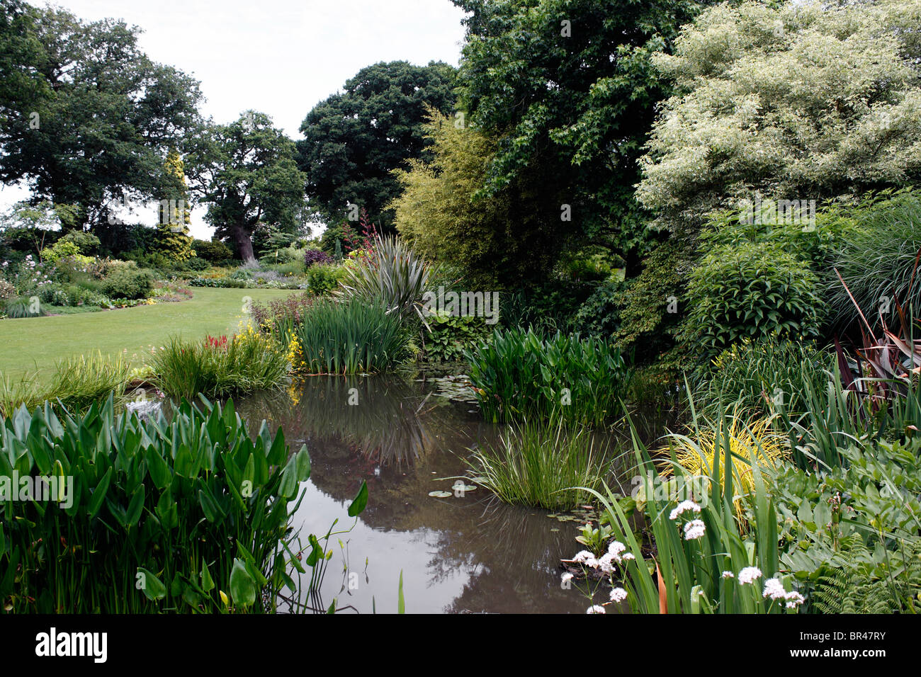 Ornamental ponds hi-res stock photography and images - Alamy