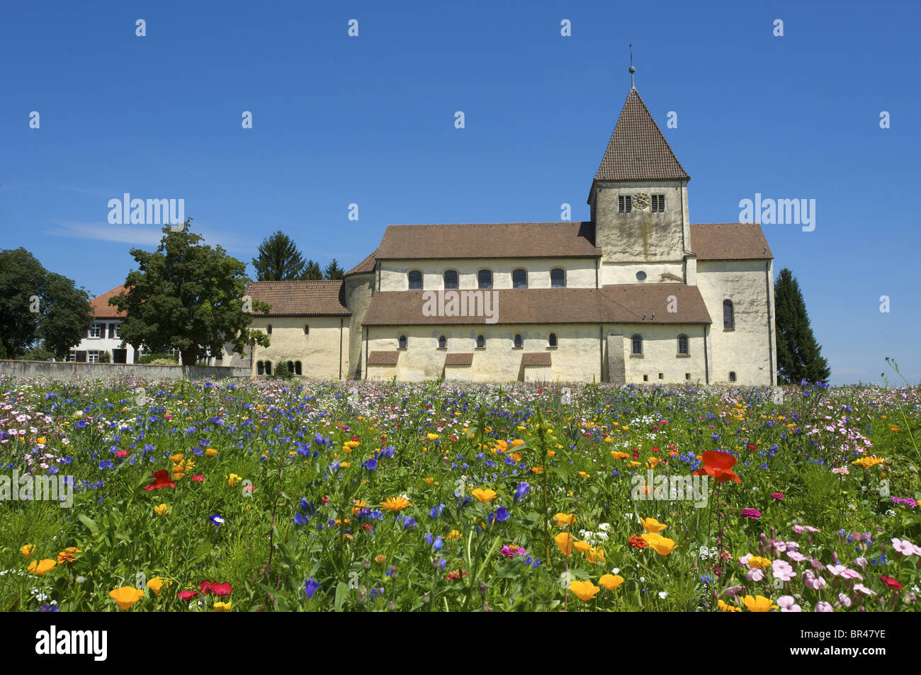 Insel reichenau hi-res stock photography and images - Alamy