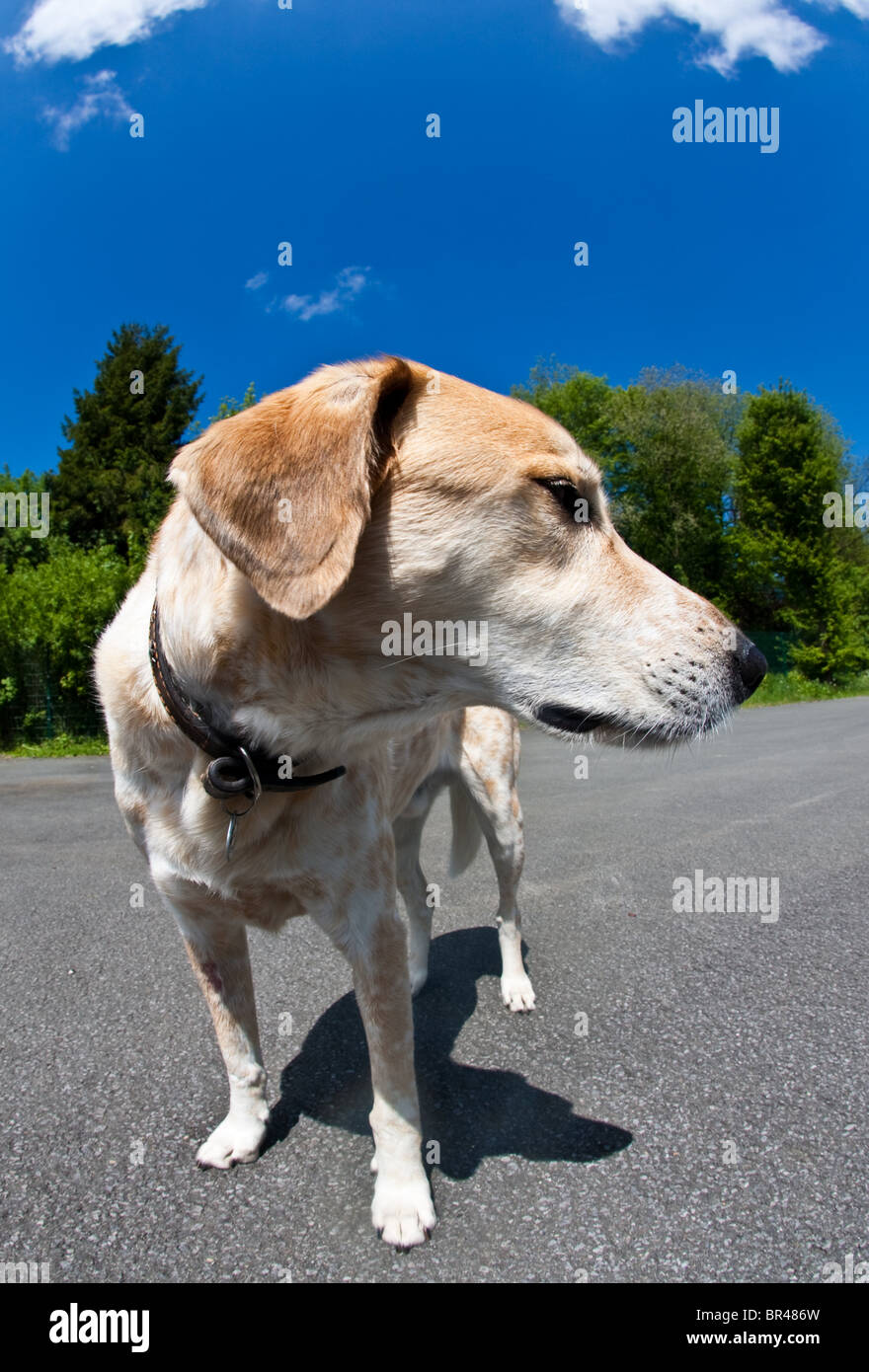 Wide vertical profile hi-res stock photography and images - Alamy