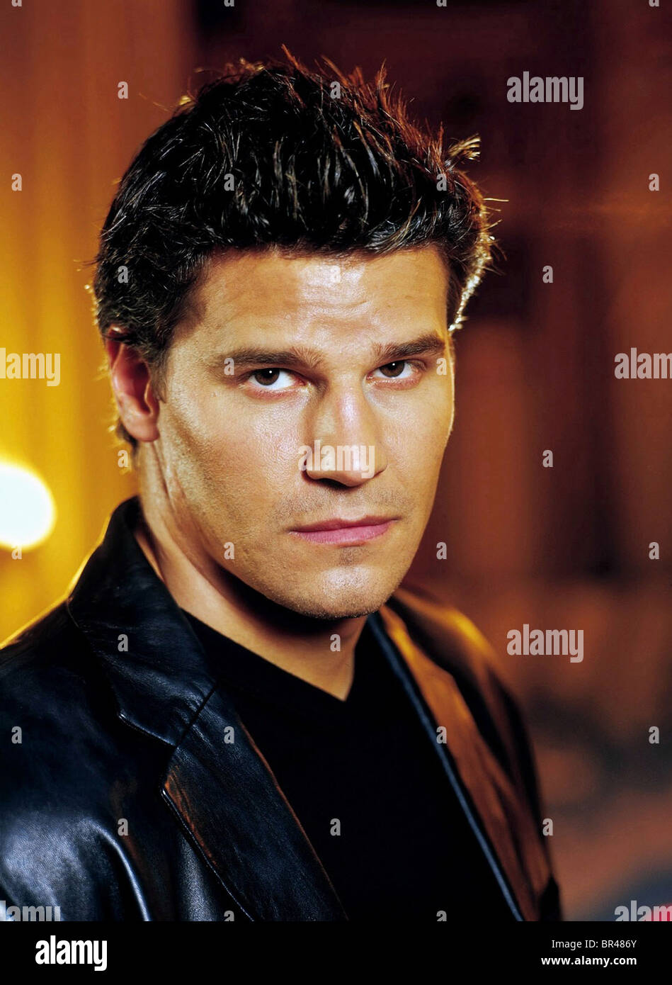 David Boreanaz's Instagram, Twitter & Facebook on IDCrawl