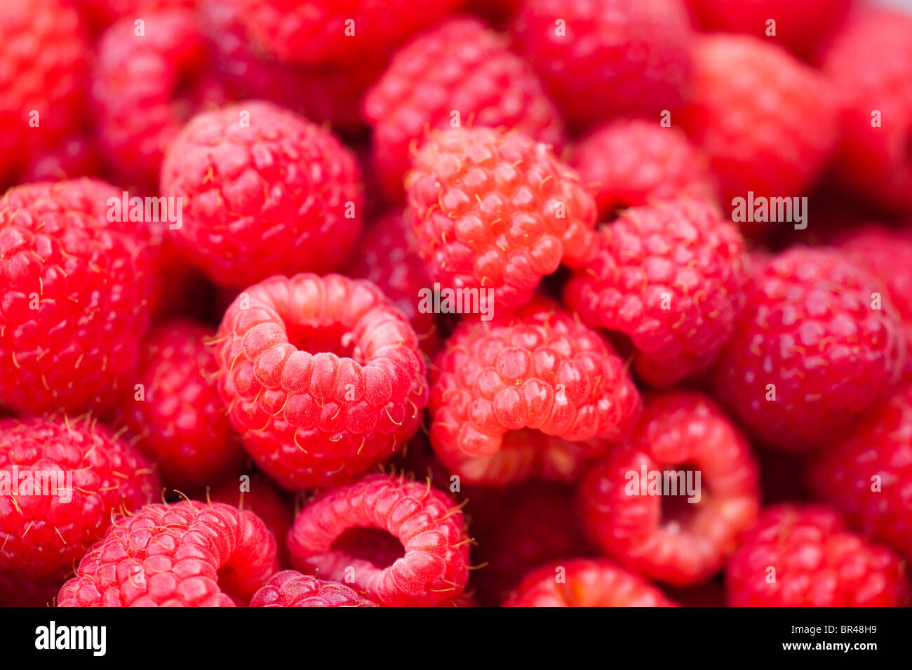 Raspberry plant uk hi-res stock photography and images - Alamy