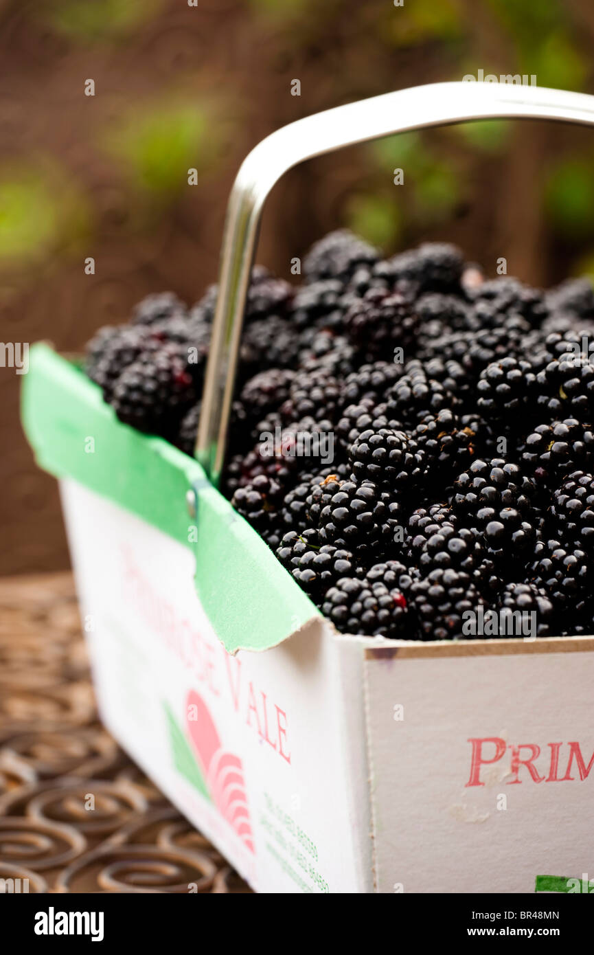 Cardboard punnet of freshly picked blackberries Stock Photo - Alamy