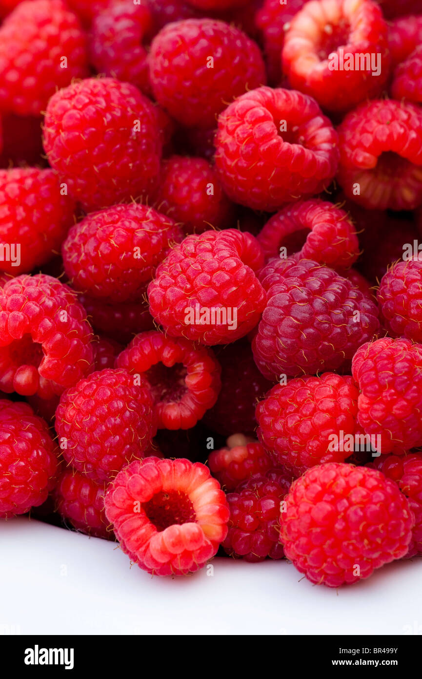 European raspberry rubus idaeus fruit hi-res stock photography and ...