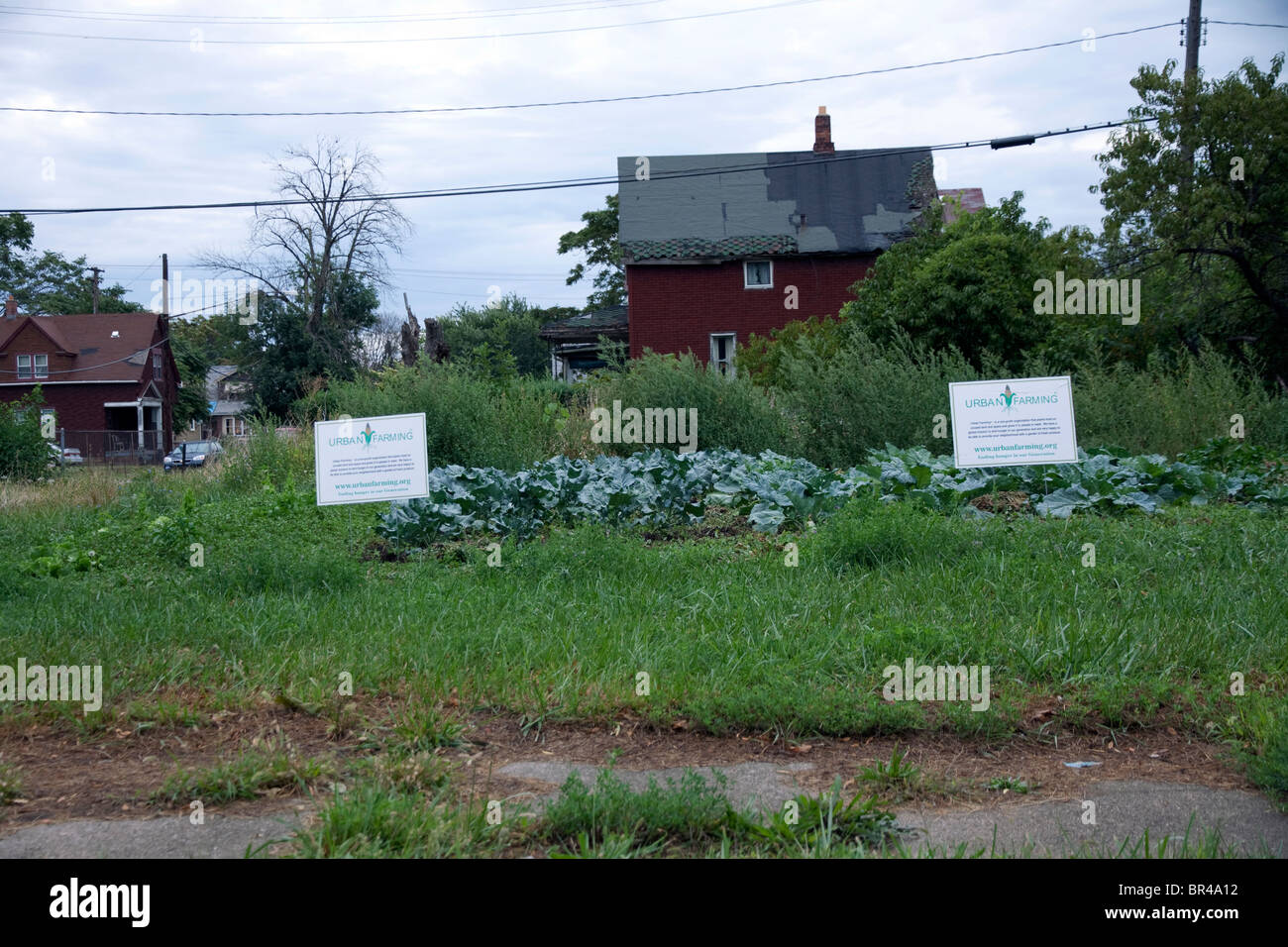 Urban Garden East side of Detroit Michigan USA Stock Photo - Alamy