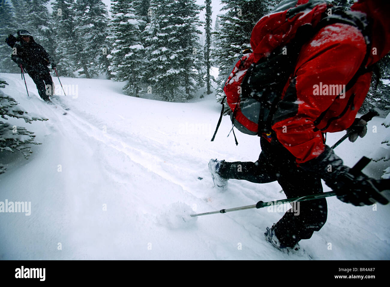Two people skiing/skinning in Glacier National Park, Montana Stock ...