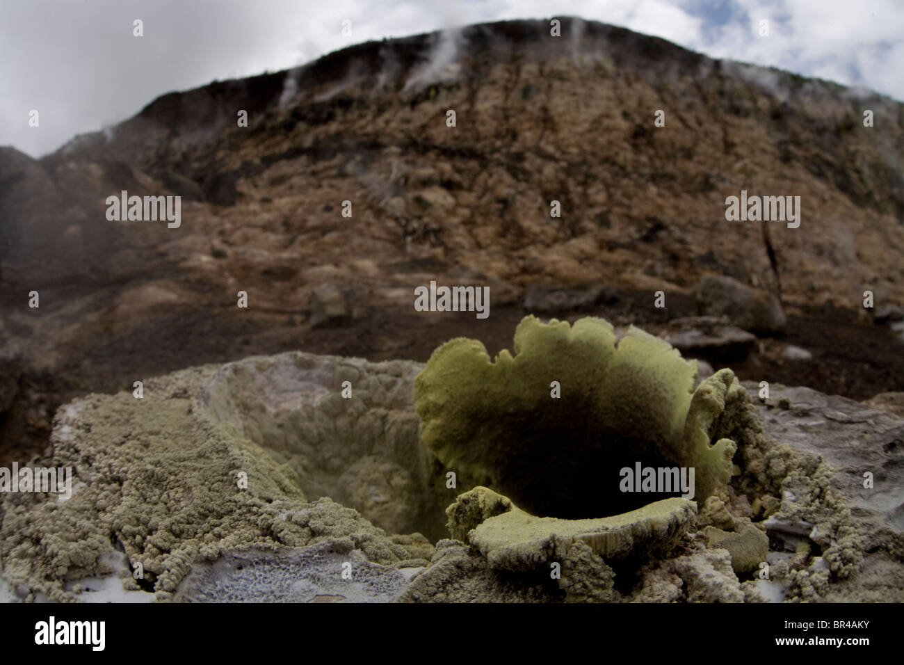 A tiny vent sends steam into the air deep inside the caldera of Alcedo ...