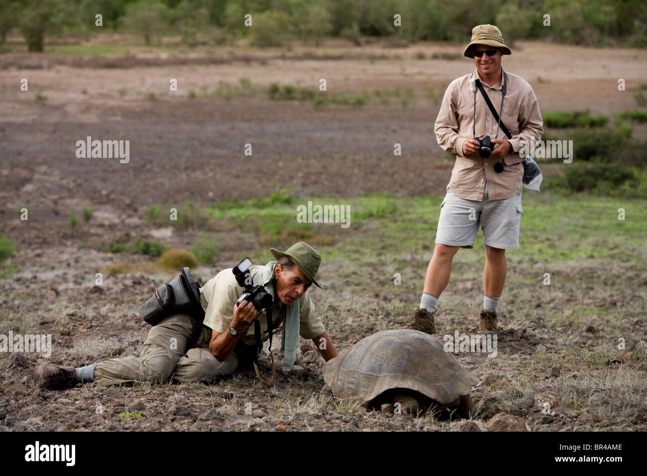 Galapagos giant tortoise person hi-res stock photography and images - Alamy
