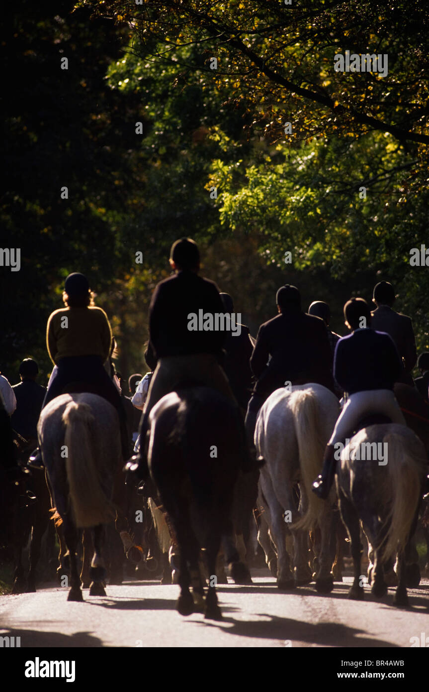 Fox hunt of ireland hi-res stock photography and images - Alamy