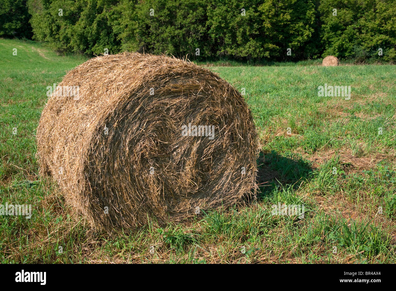 Baling central hi-res stock photography and images - Alamy
