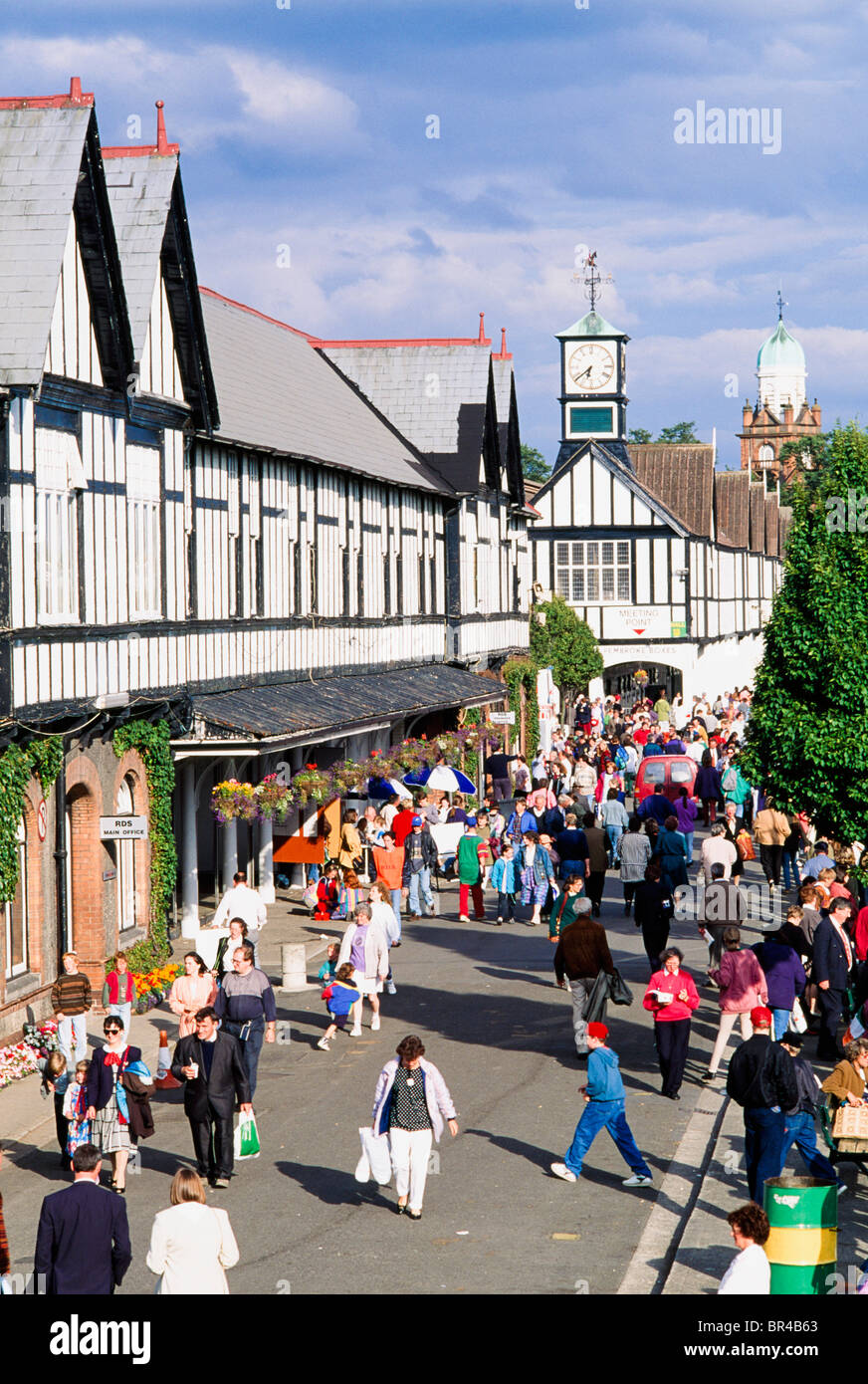 Rds horse show hi-res stock photography and images - Alamy
