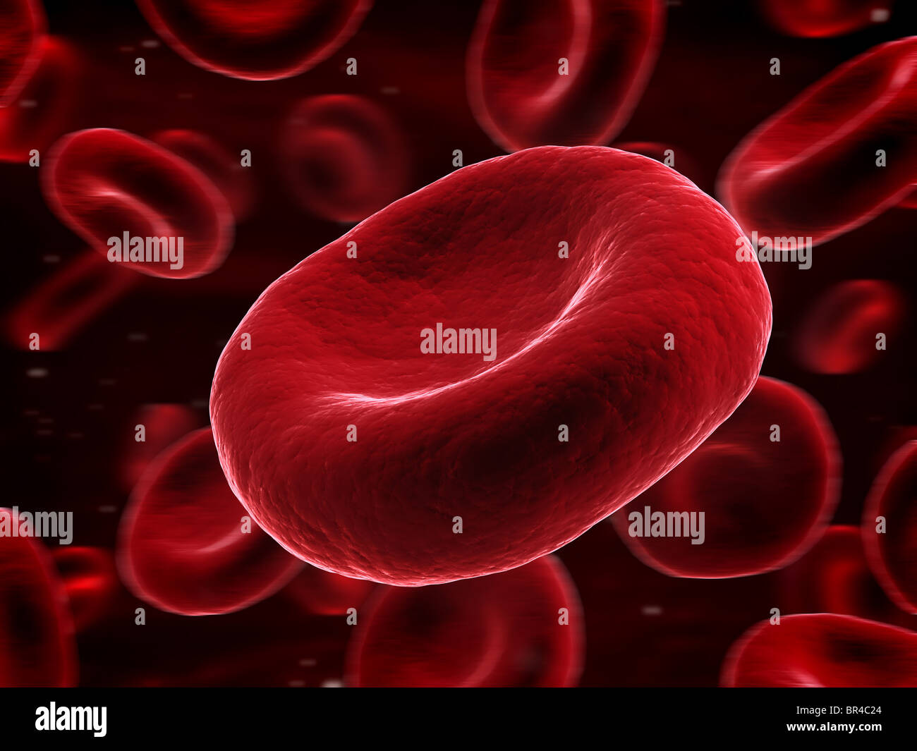 Blood clot with red blood cells hi-res stock photography and images - Alamy