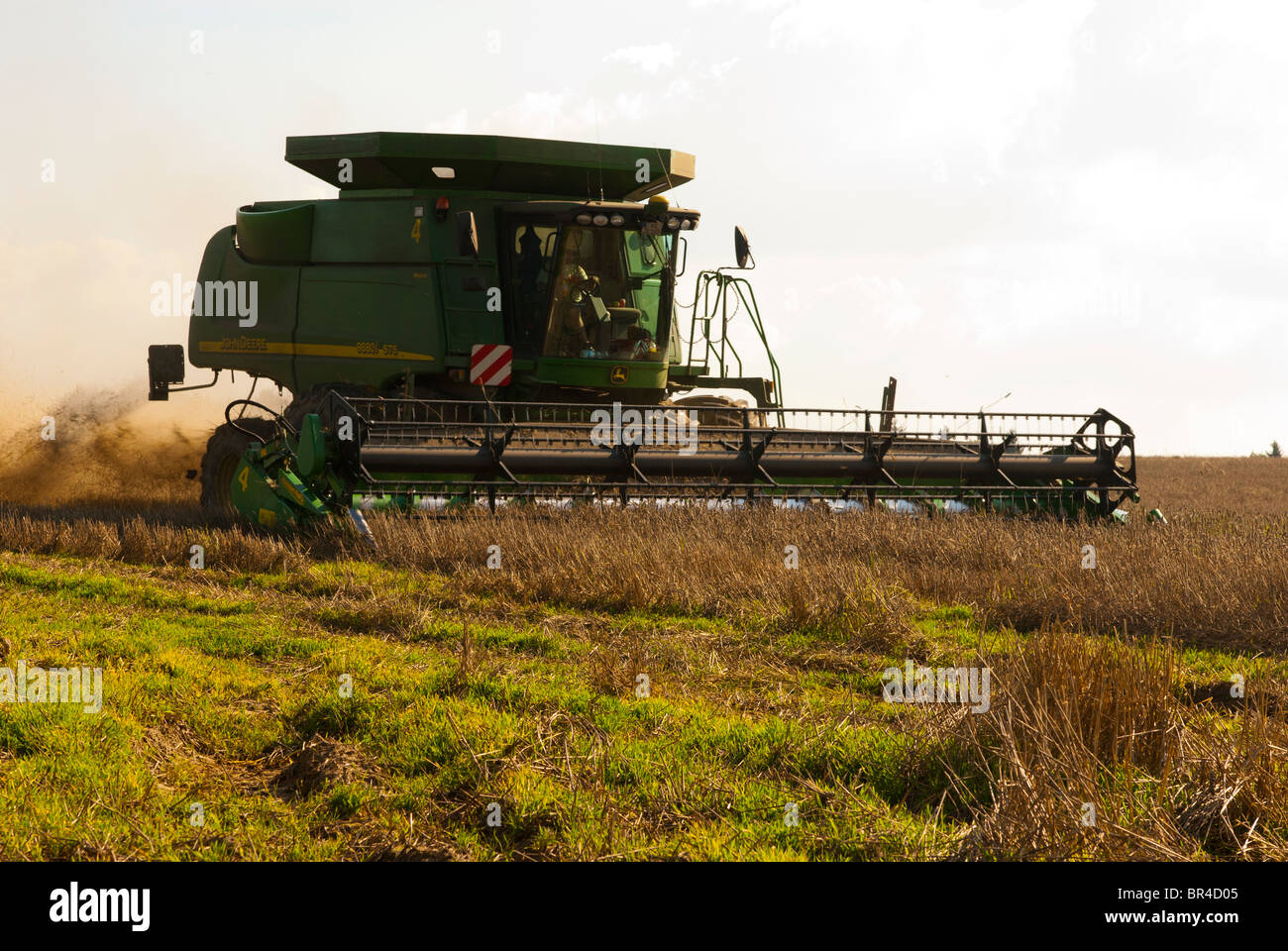 John Deere combine harvesting wheat on a field Stock Photo - Alamy