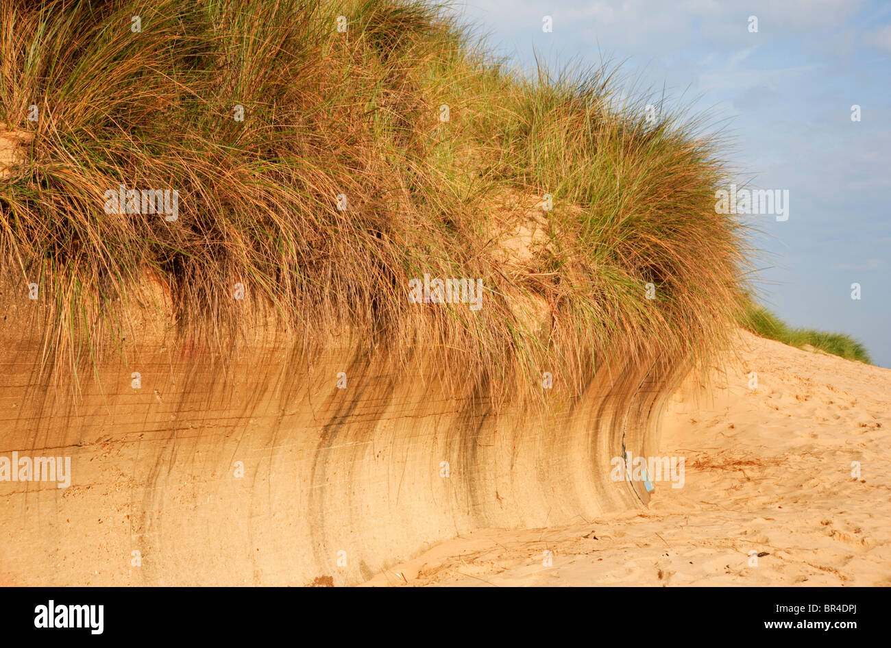 Concrete Sea Wall Defences Norfolk High Resolution Stock Photography ...