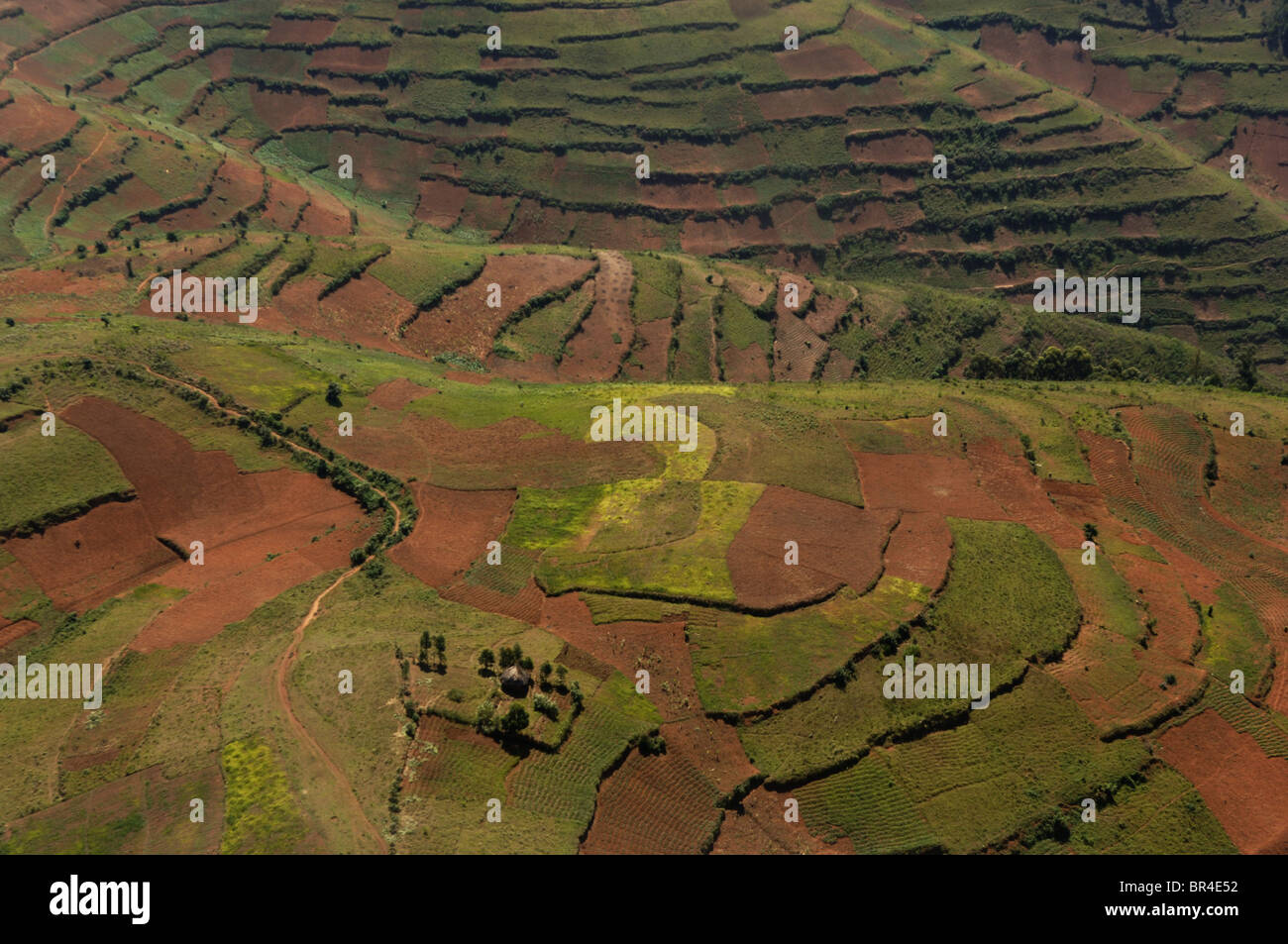 aerial patterns of terraced farming Stock Photo - Alamy