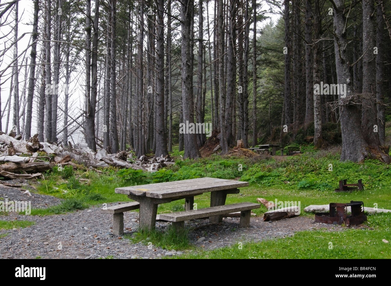 An empty picnic area just off the beach at Rialto Beach on the Olympic ...