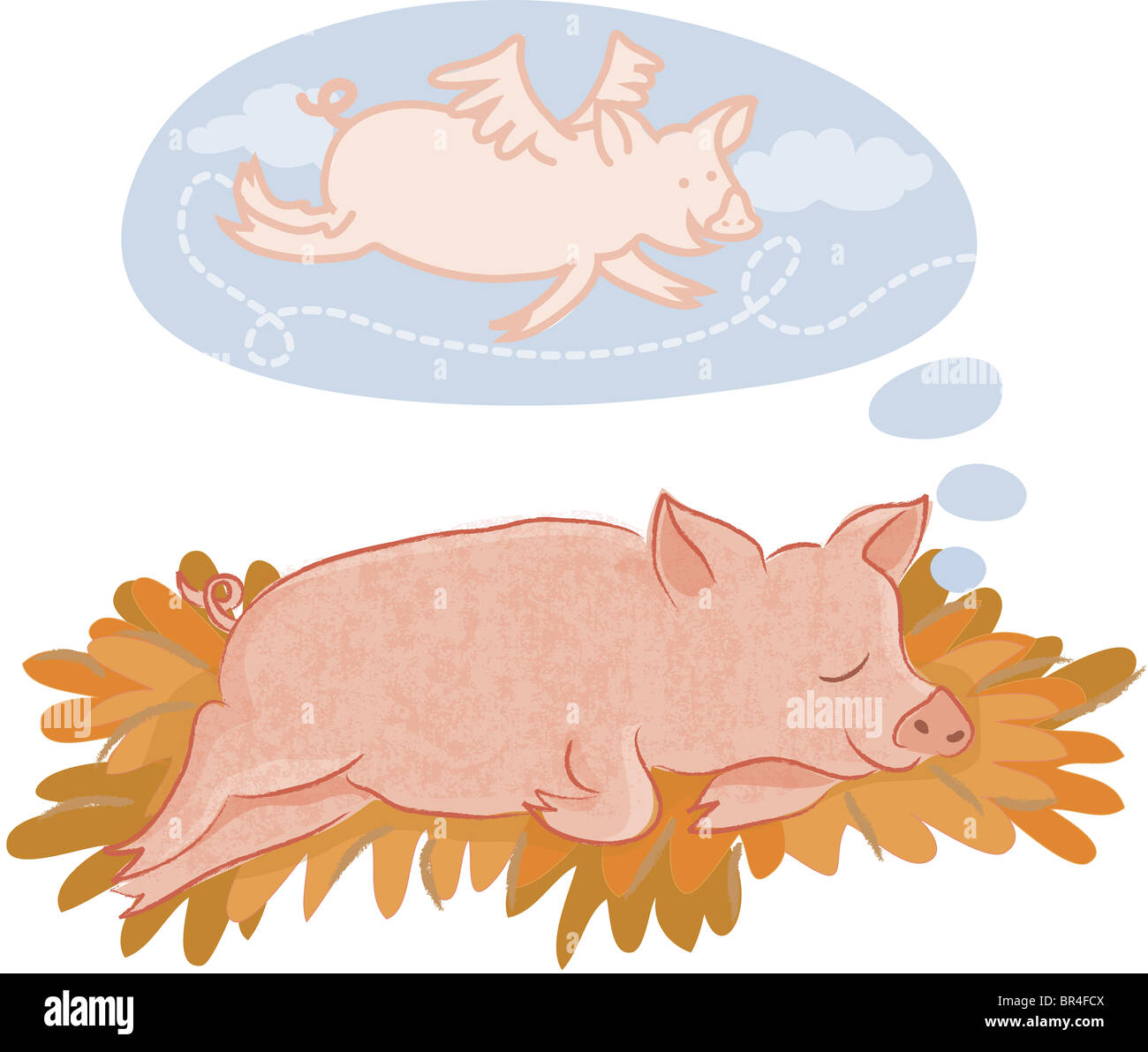 Pig Illustration High Resolution Stock Photography and Images - Alamy