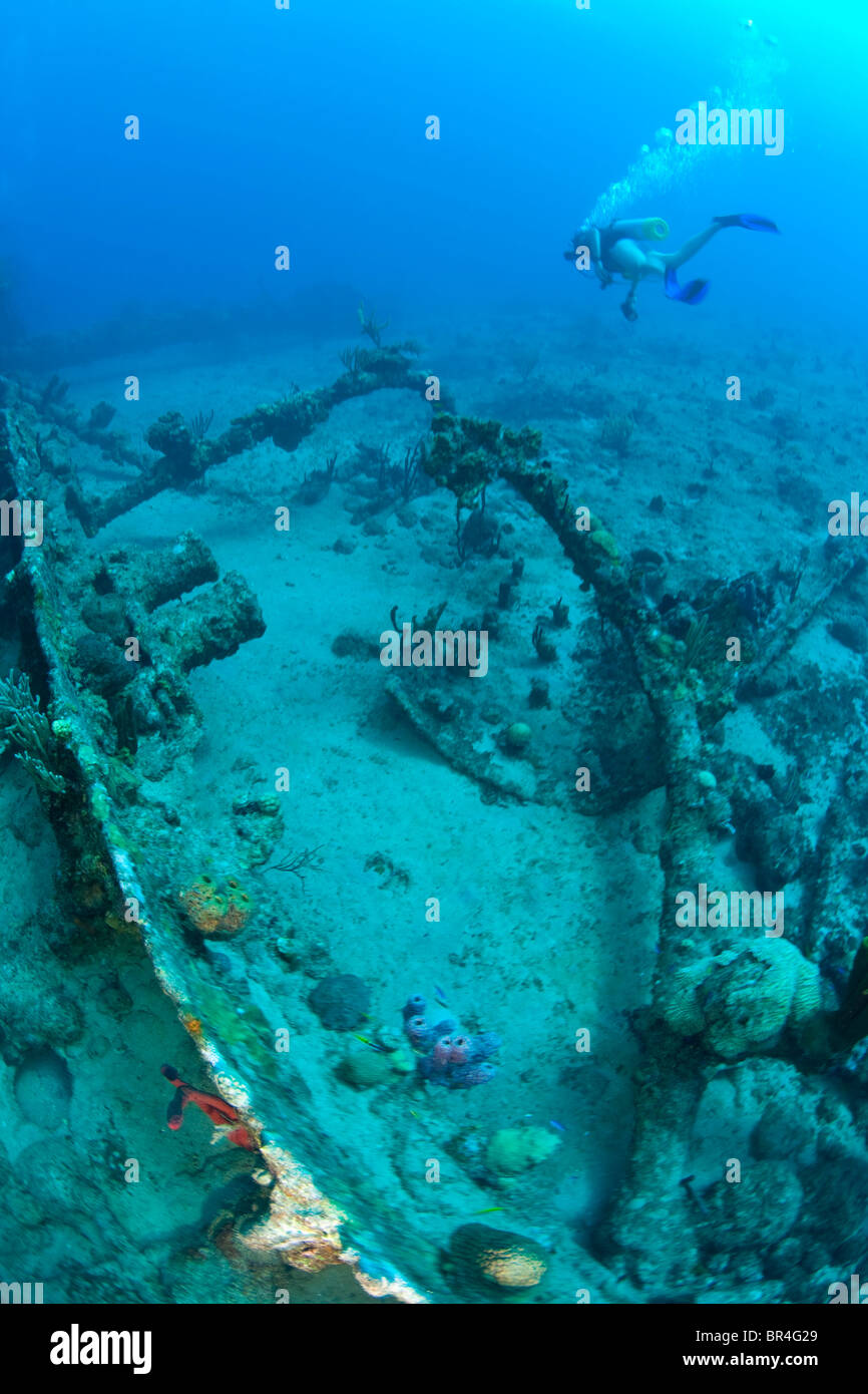 Female teen scuba diver Wreck of the RMS Rhone off the coast of Salt ...