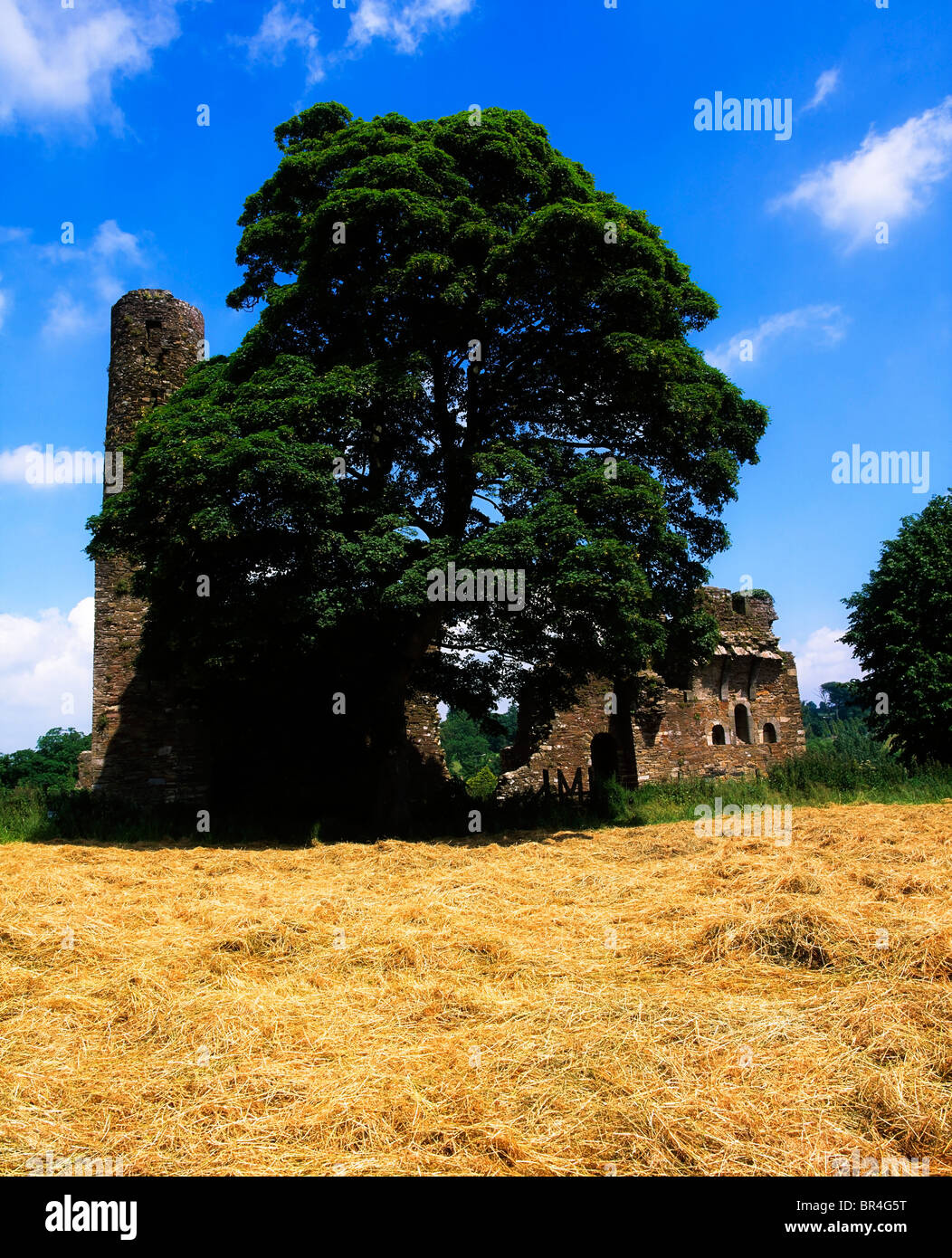 St marys abbey hi-res stock photography and images - Alamy