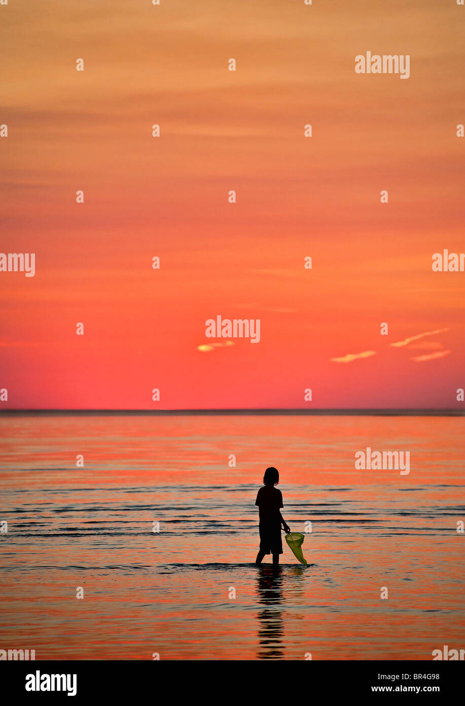 Cape cod massachusetts skaket beach hi-res stock photography and images ...