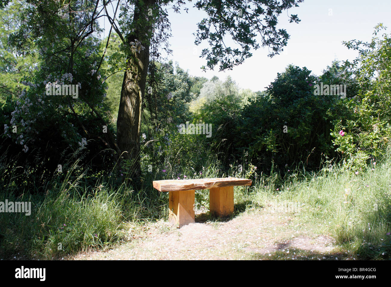 A TRANQUIL AREA IN THE BETH CHATTO GARDEN AT ELMSTEAD MARKET. ESSEX UK ...