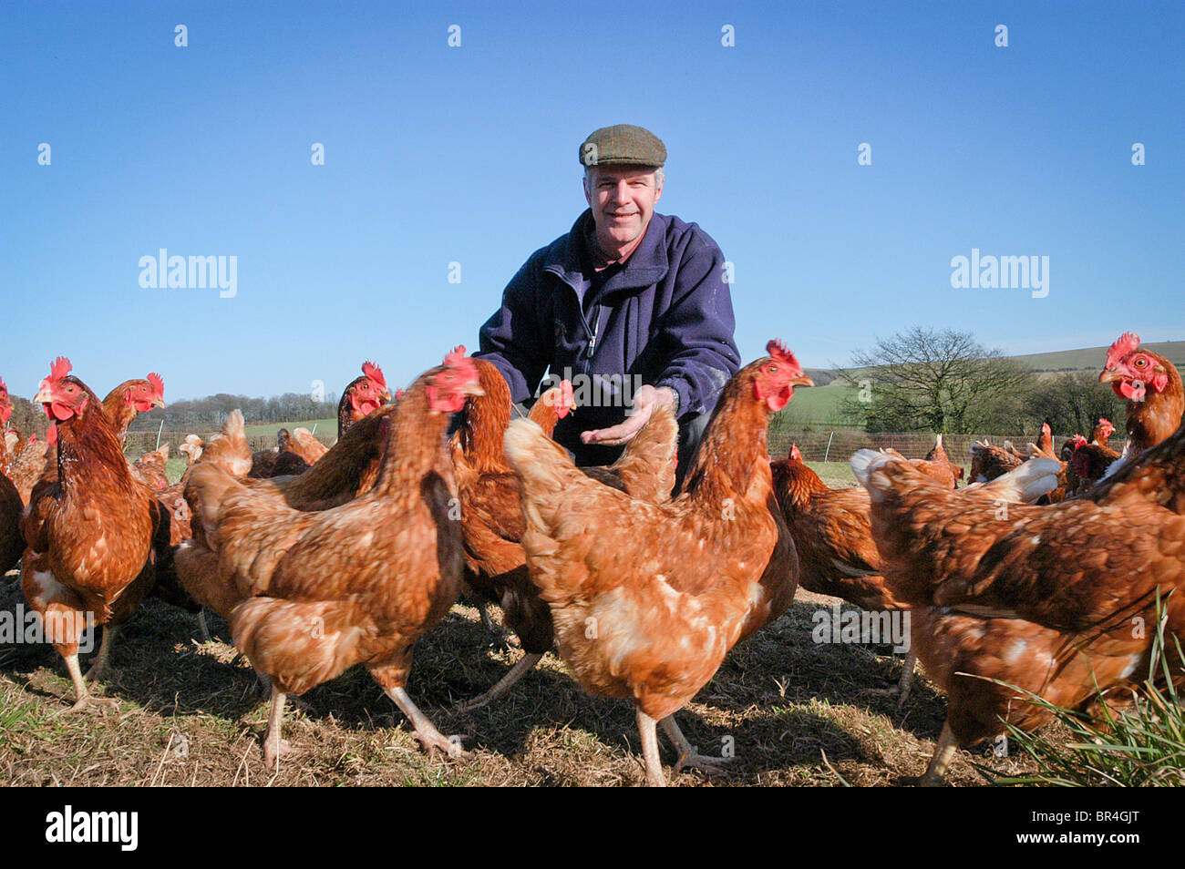 Peter sells hi-res stock photography and images - Alamy