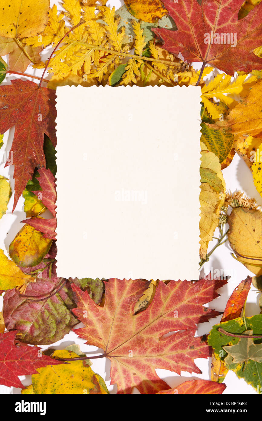 Scrapbook paper patterns hi-res stock photography and images - Alamy