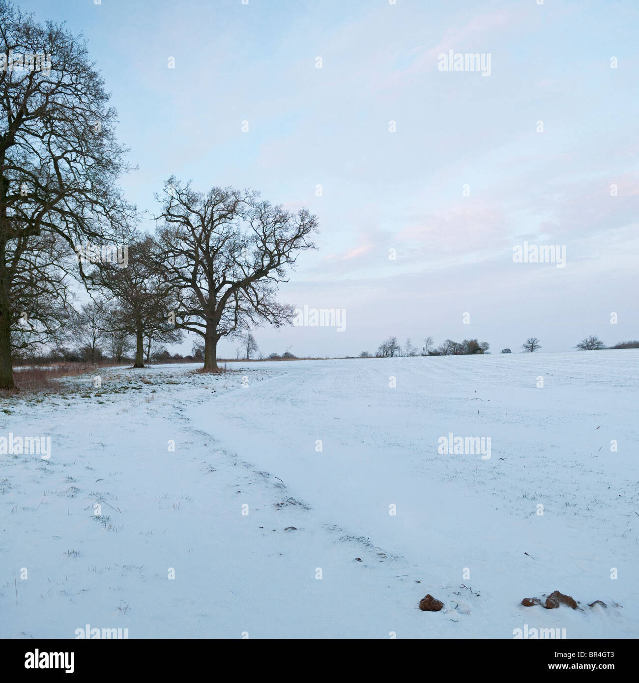 A snow covered landscape Stock Photo - Alamy