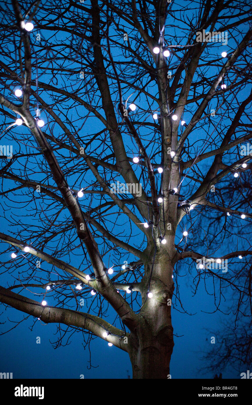 White lights tree hi-res stock photography and images - Alamy