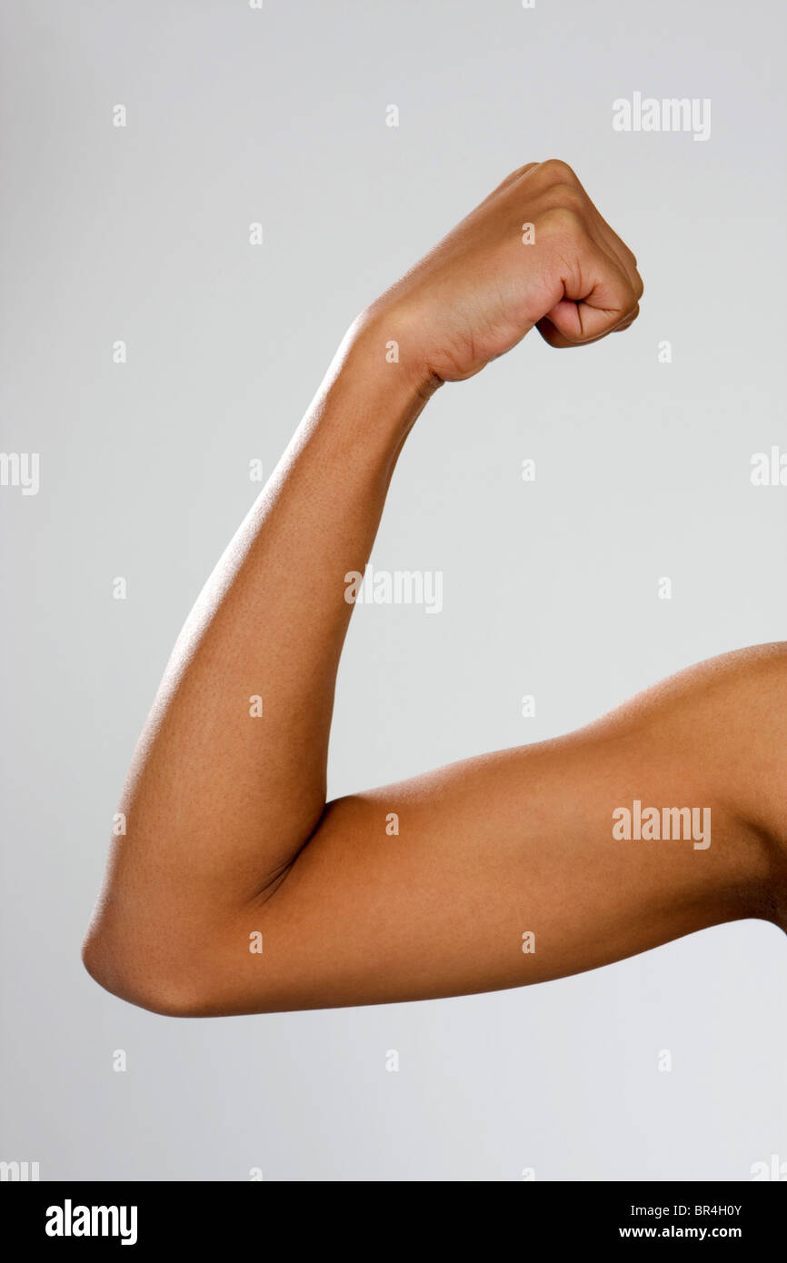 The biceps brachii muscle of a young, thin African-American woman Stock ...