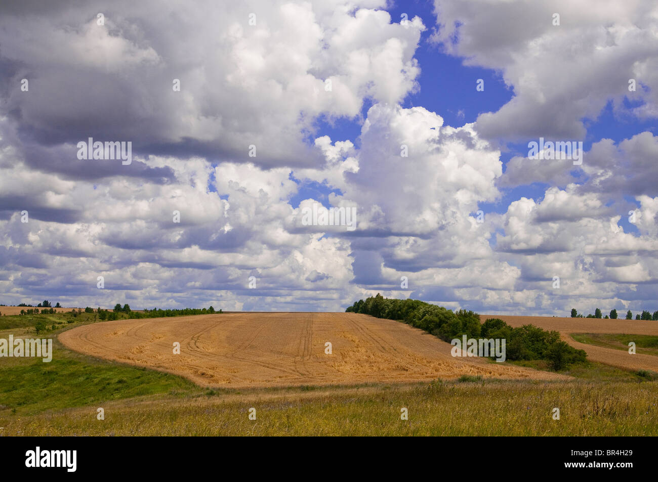 Russian countryside hi-res stock photography and images - Alamy